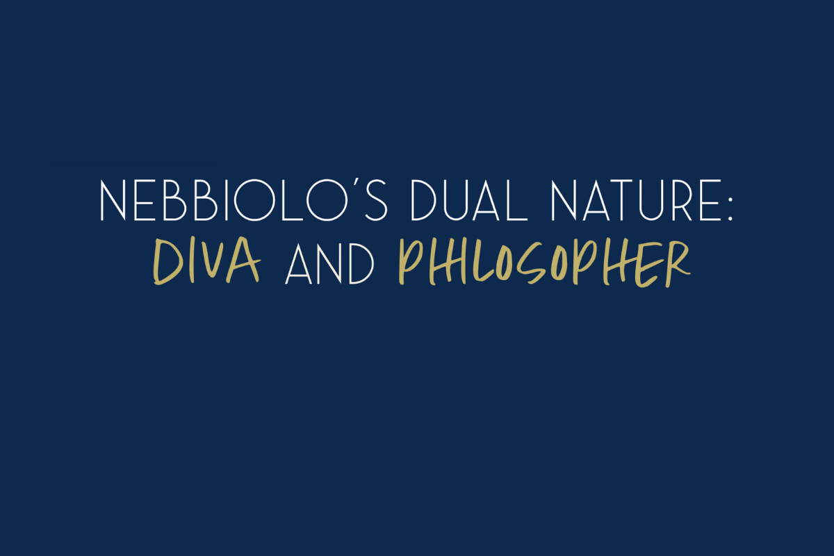 Nebbiolo's Dual Nature – Story in a Bottle Wines